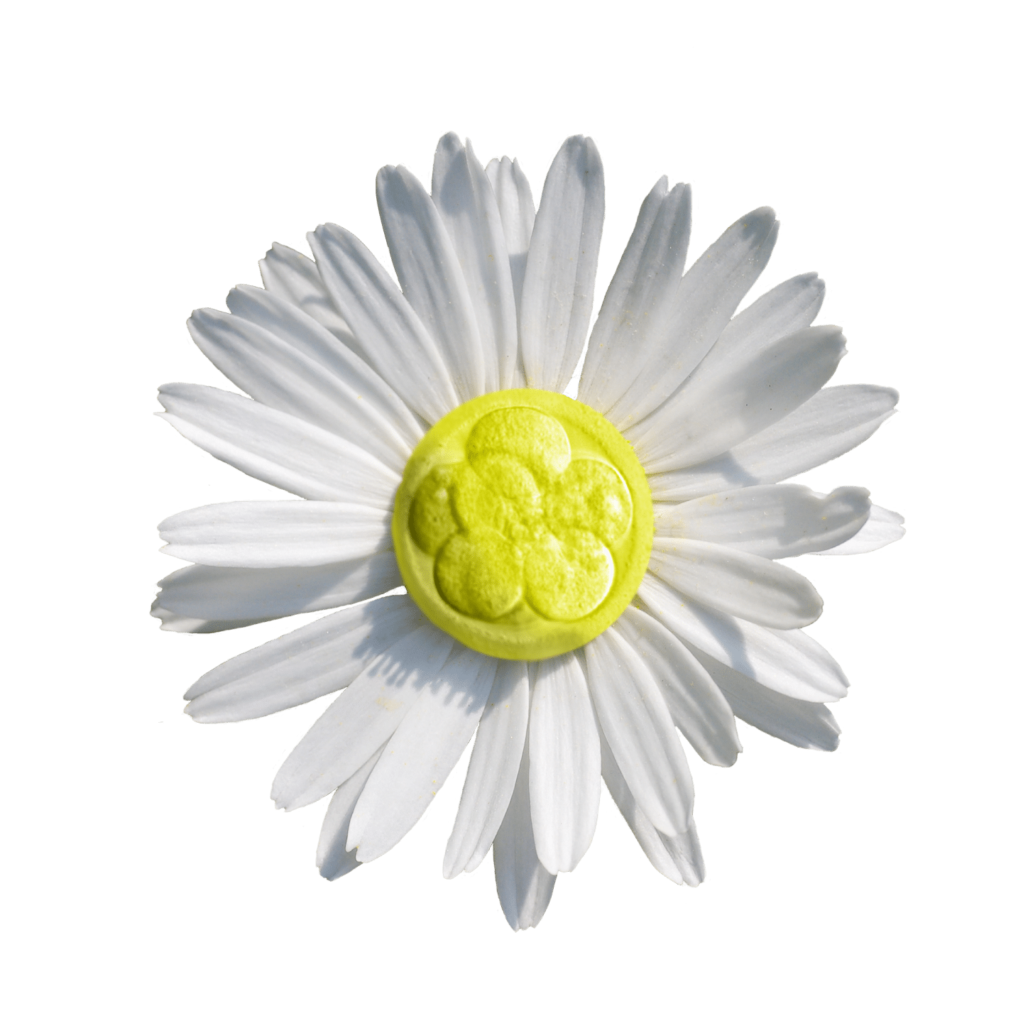 Patient Portal — SpringCreek Fertility